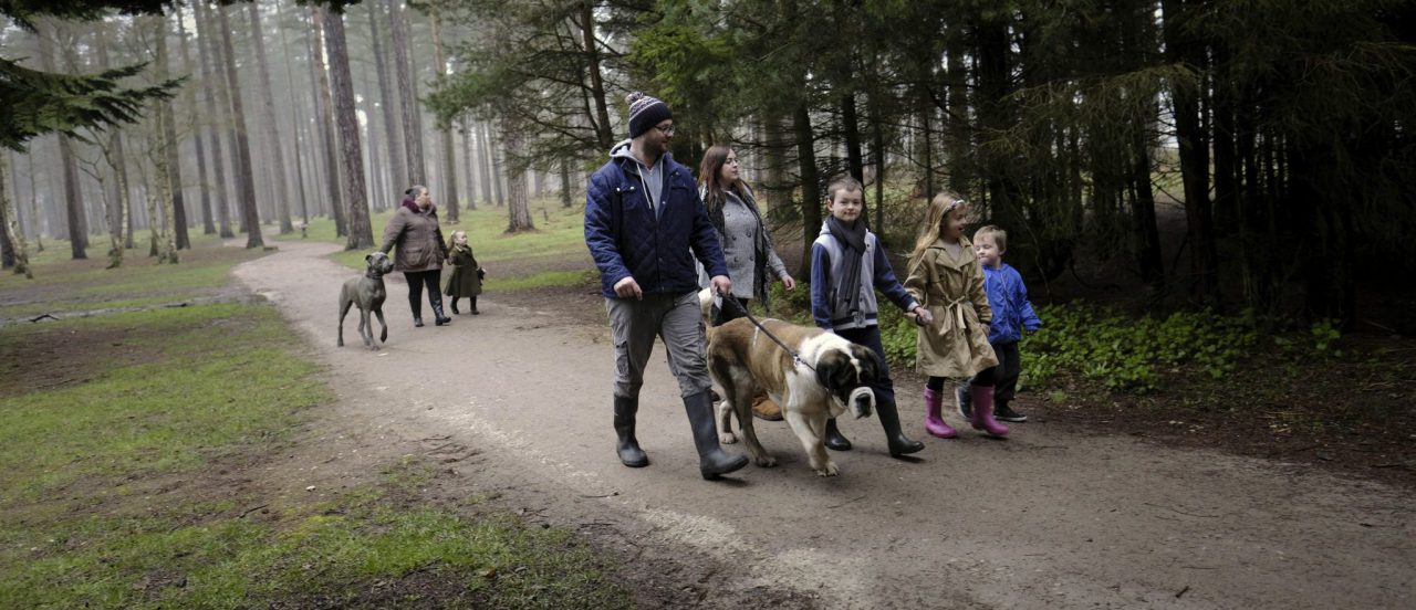 Plan Your Visit - Cannock Chase