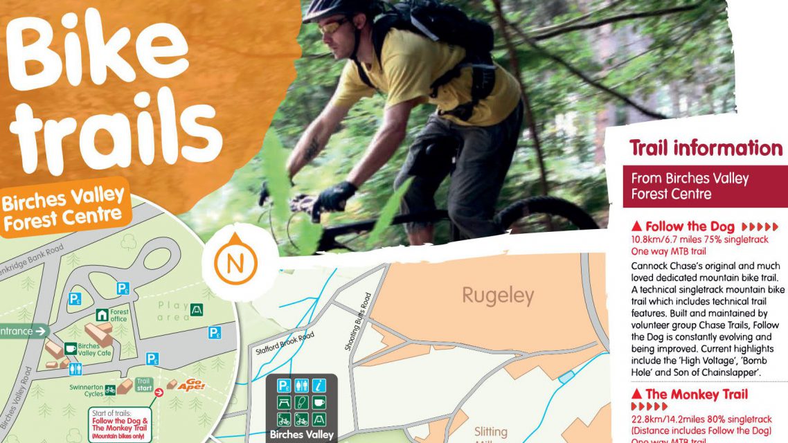 Mountain Bike Trails - Cannock Chase
