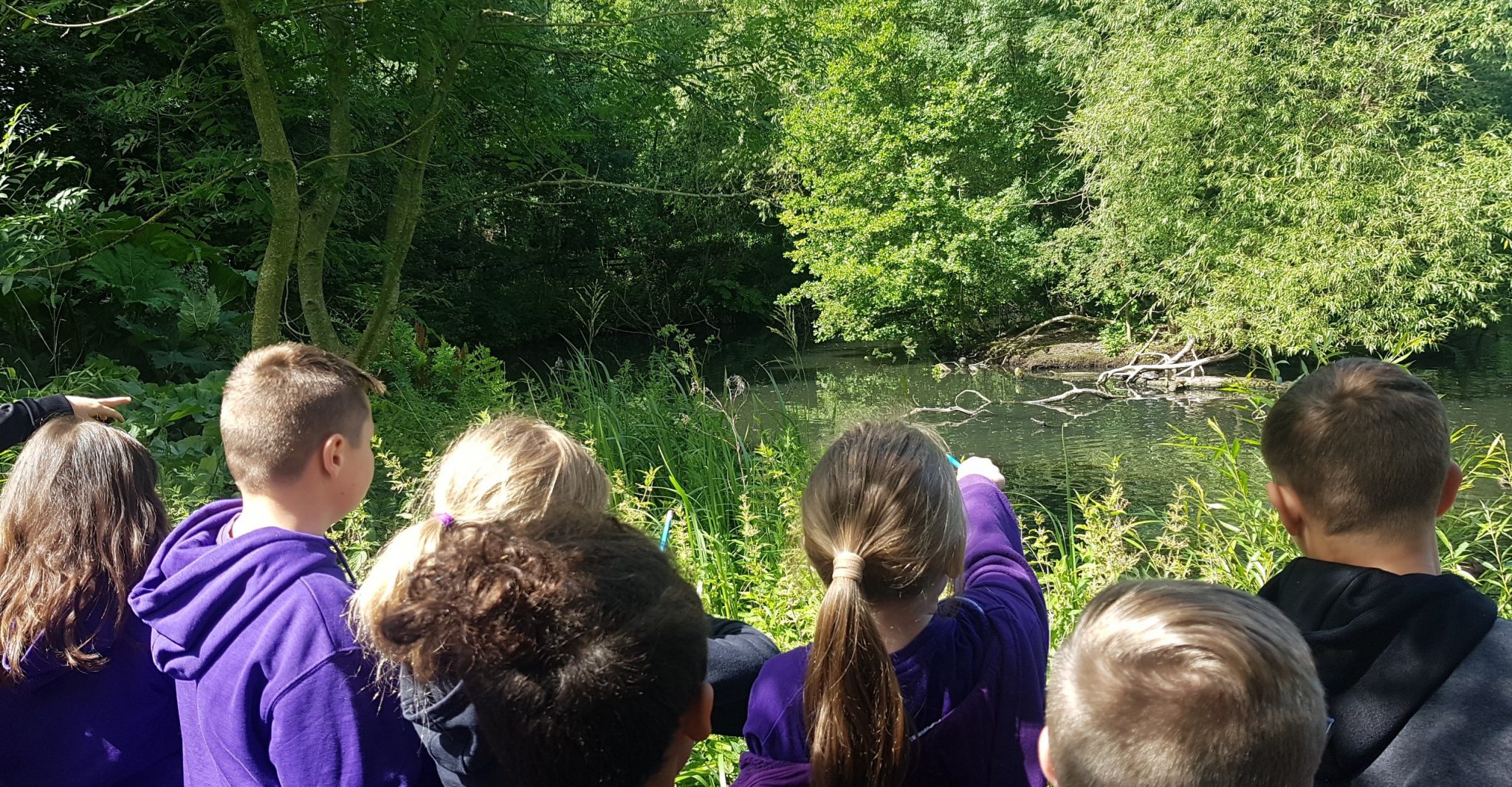 Become a Nature Ranger at the Wolsey Centre. - Cannock Chase