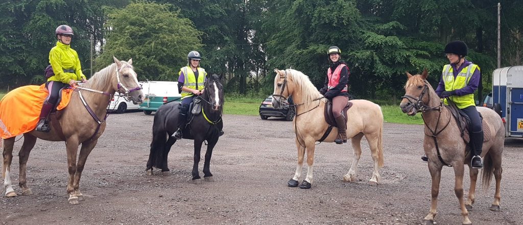 Plan Your Visit - Cannock Chase