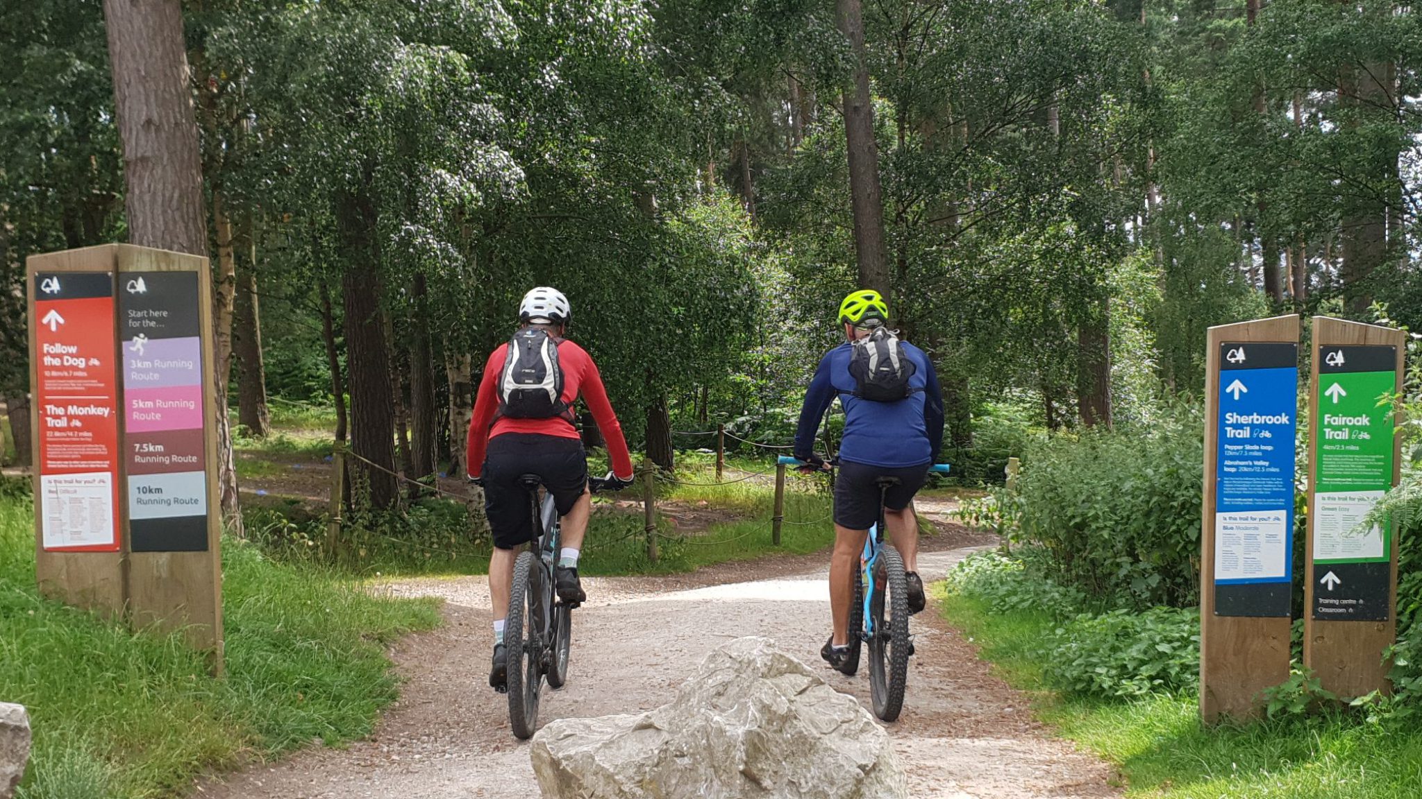 Mountain Bike Trails - Cannock Chase