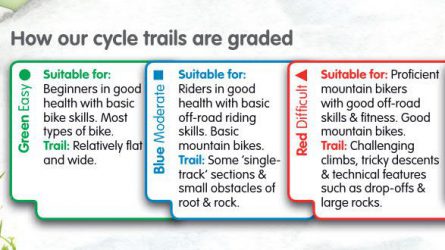 Mountain Bike Trails - Cannock Chase