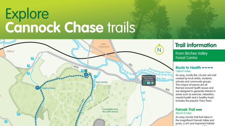 Mountain Bike Trails - Cannock Chase