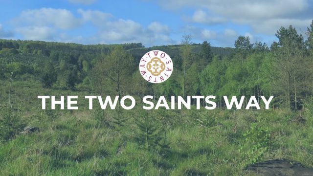 Walkers & Runners - Cannock Chase