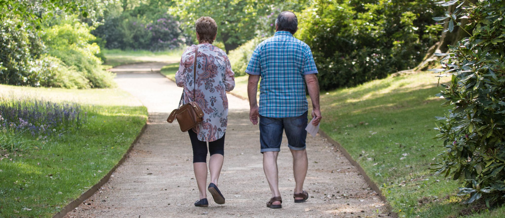 Walkers & Runners - Cannock Chase