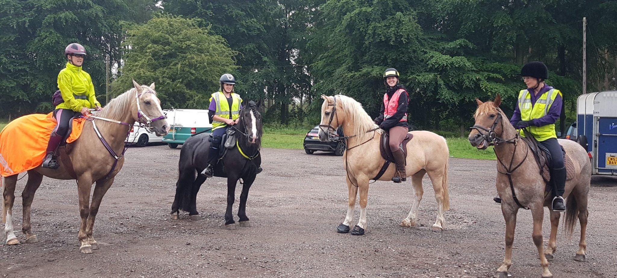 Ride Out UK Cannock Chase Guided Ride II - Cannock Chase